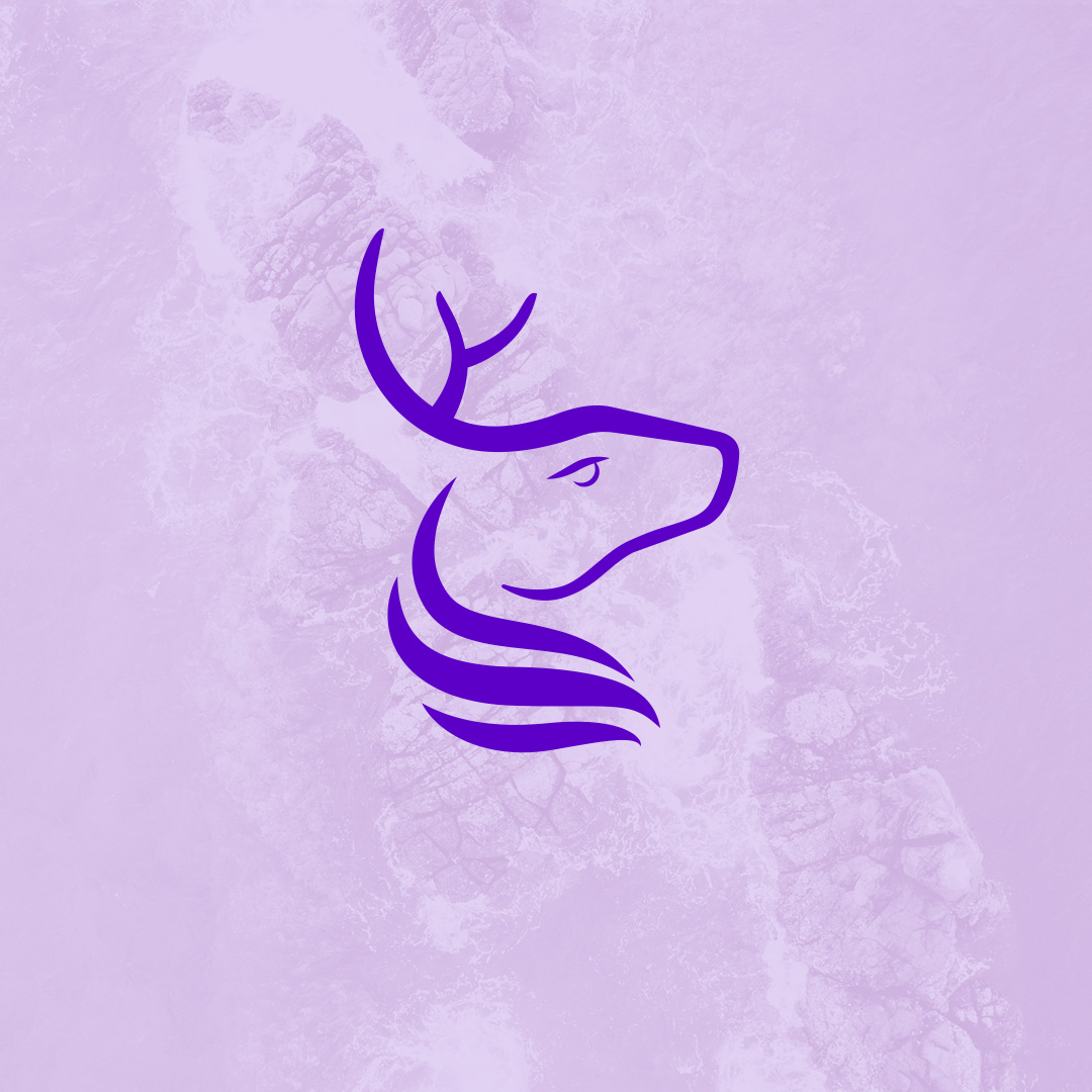 Nurturing Client Wealth - Snap Design & Digital