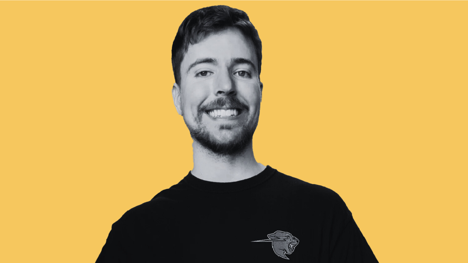 Snap Stories - Snap Design & Digital